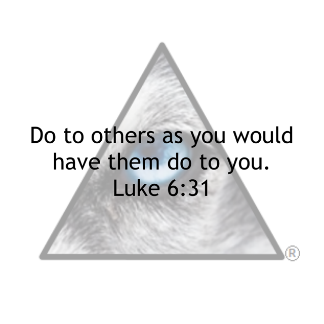 The Golden Rule(s) – MindWolves
